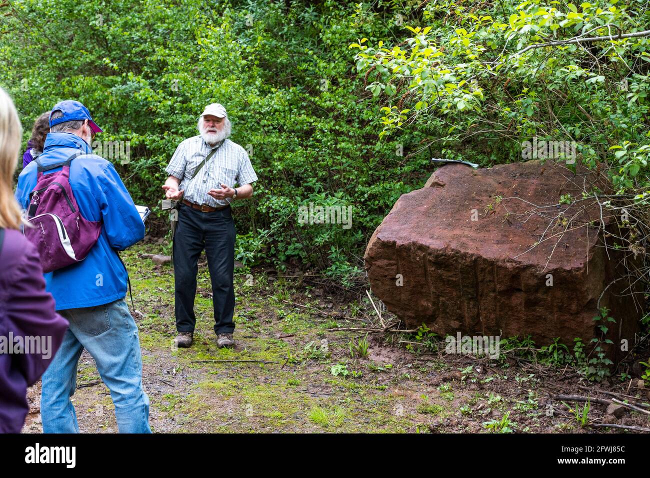 Forest of Dean Pennant stone shows the red iron ore surface staining ...