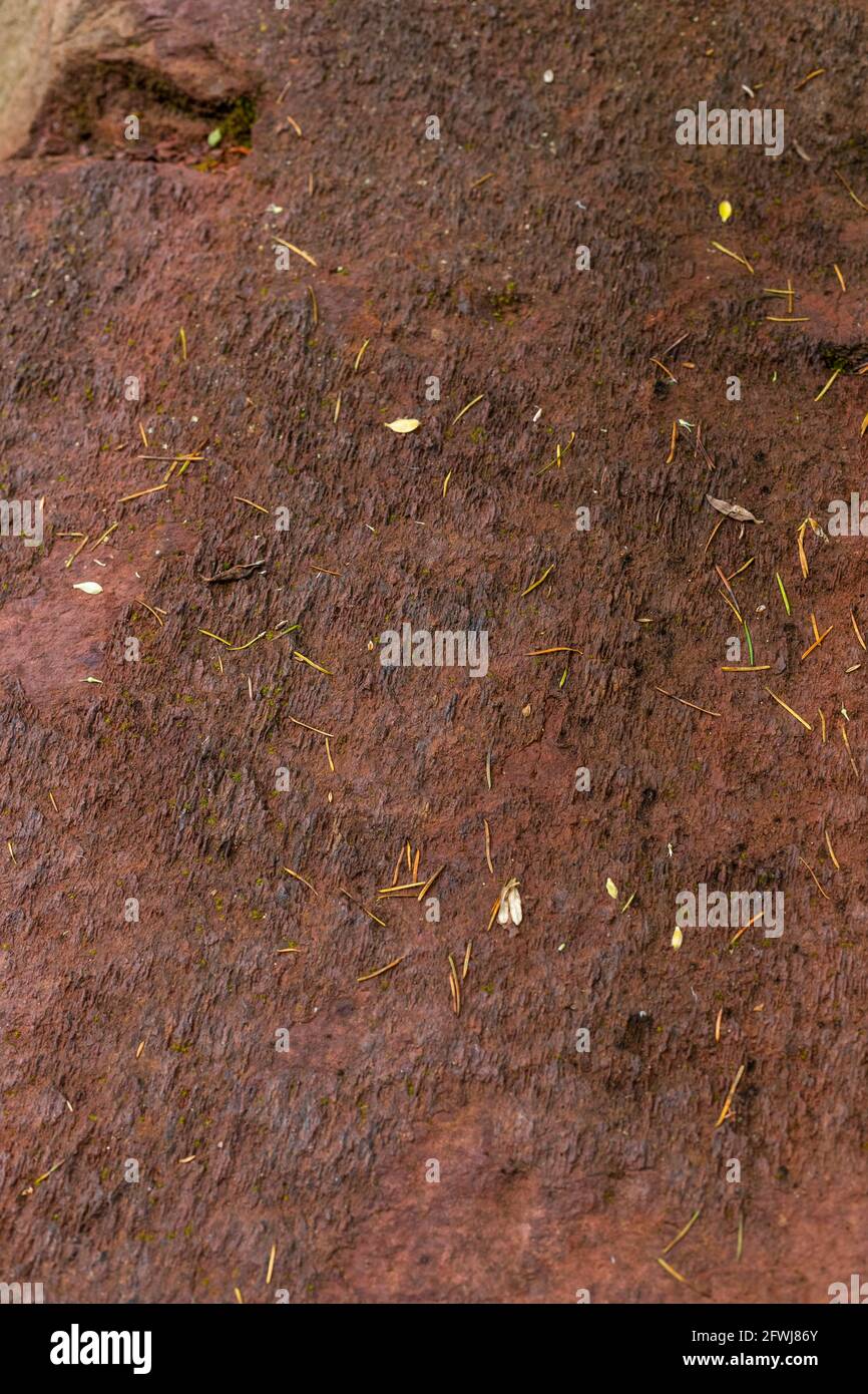 Forest of Dean Pennant stone shows the red iron ore surface staining ...