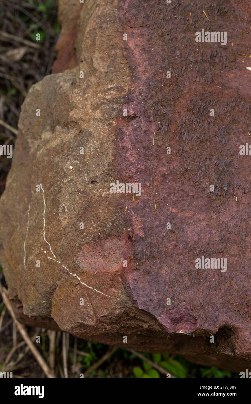 Forest of Dean Pennant stone shows the red iron ore surface staining ...