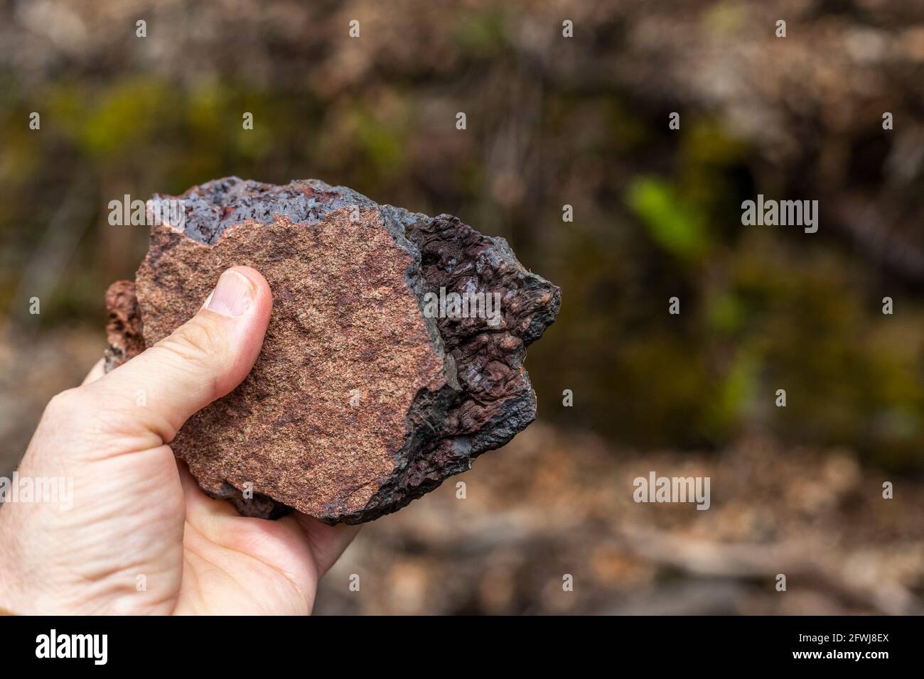 Forest of dean geology hi-res stock photography and images - Alamy