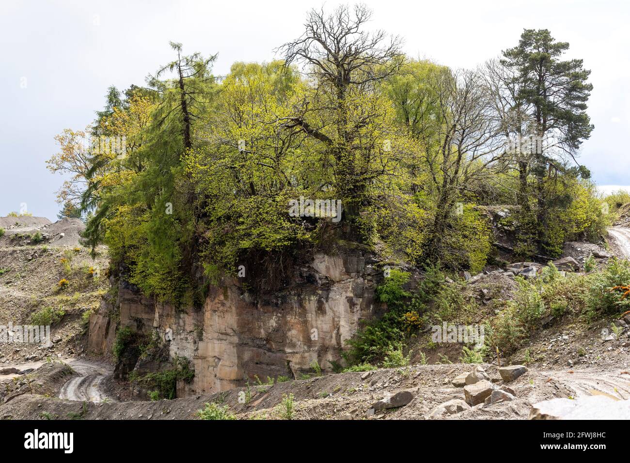 Bixhead Quarry, Forest of Dean. Modern in use quarry operation ...
