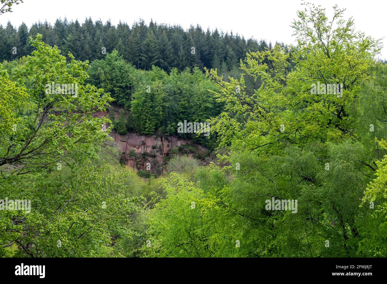 Mine Train Quarry with high mine tunnels exposed. Bixslade Geology Walk ...