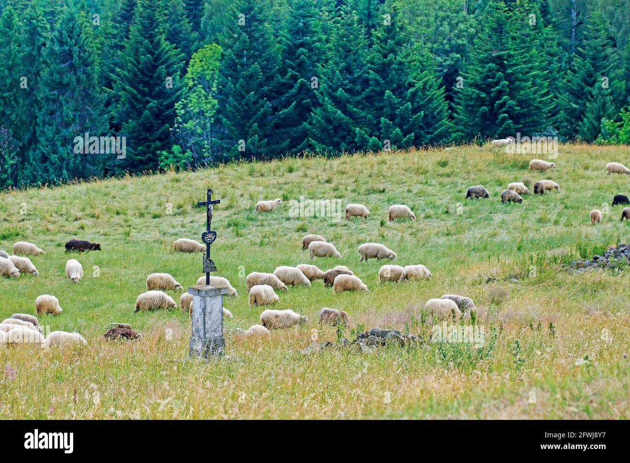 Roadside shrine rural poland hi-res stock photography and images - Alamy