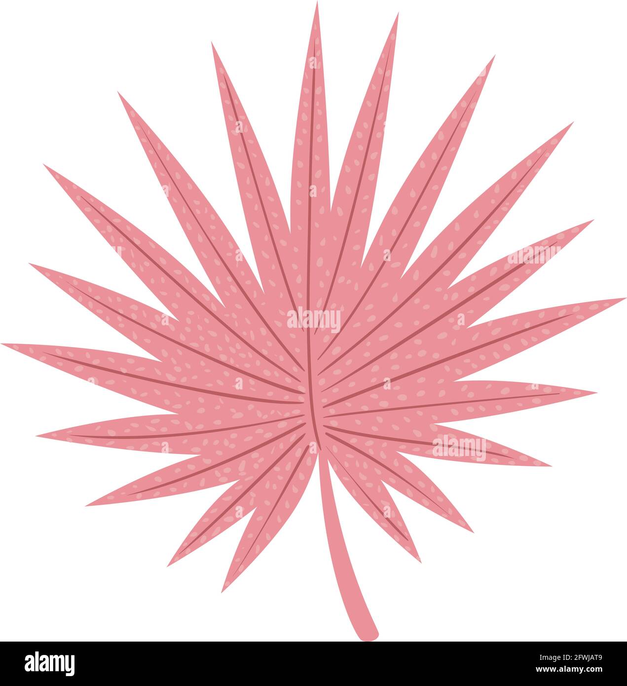 tropical pink leaf Stock Vector Image & Art - Alamy