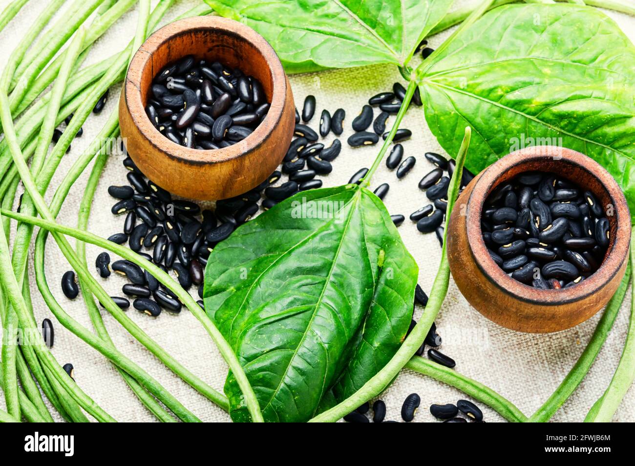 Vigna or cowpea pods and beans.Vegetable plant.Popular Chinese food ...