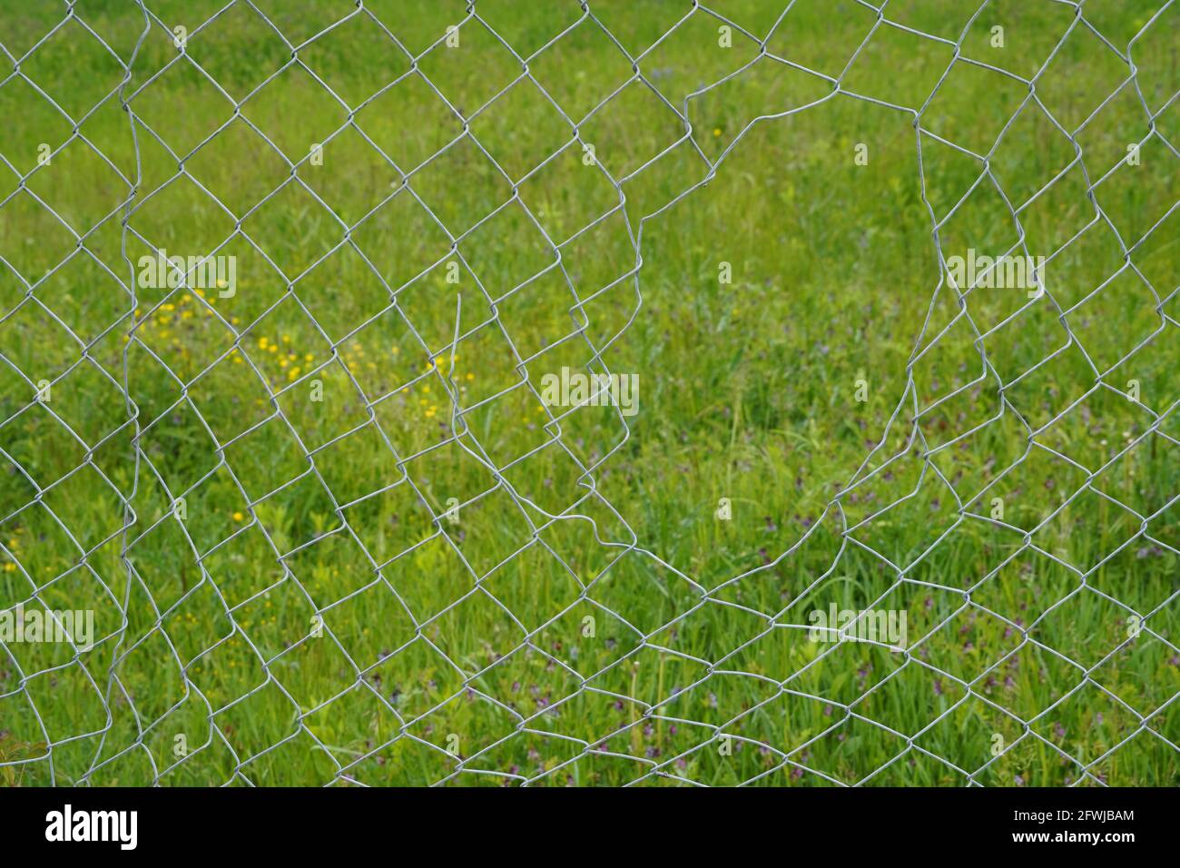 Hole in chain link fence hi-res stock photography and images - Alamy