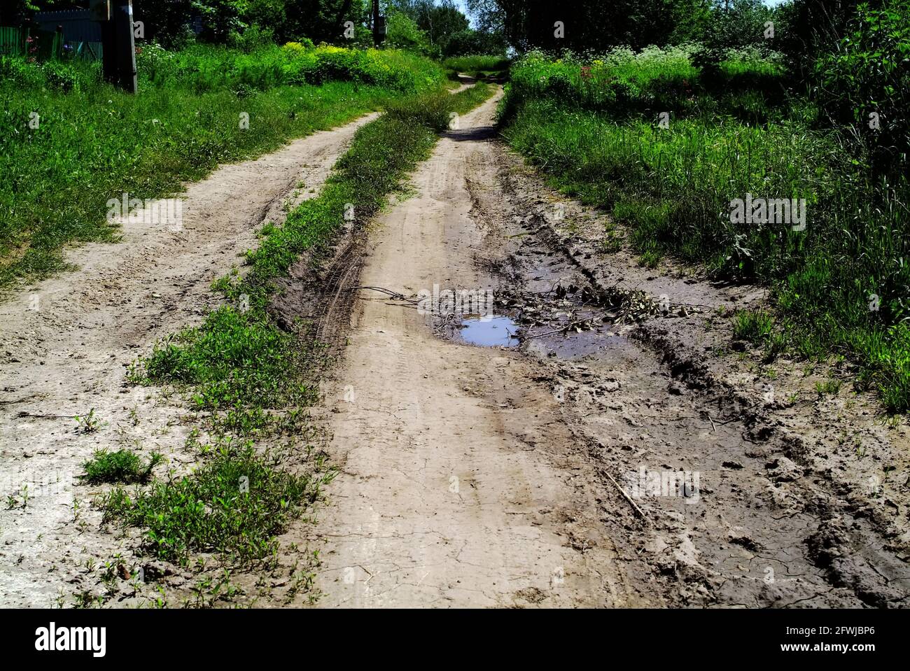 dirt road in the village, in summer Stock Photo - Alamy