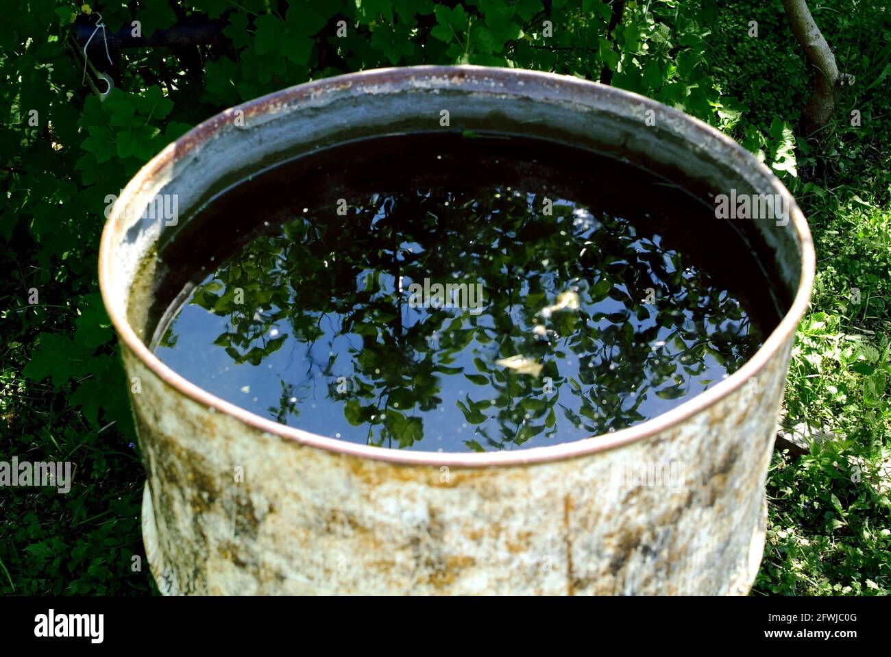 a metal water barrel stands in the garden, in summer Stock Photo - Alamy