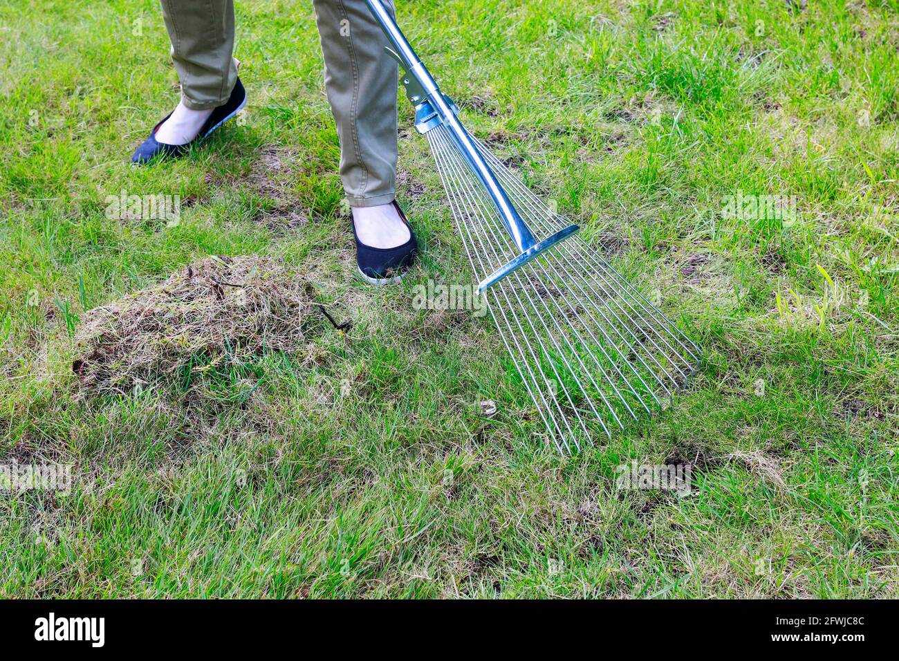 Lawn raking. Work in the garden. Garden hobby Stock Photo - Alamy