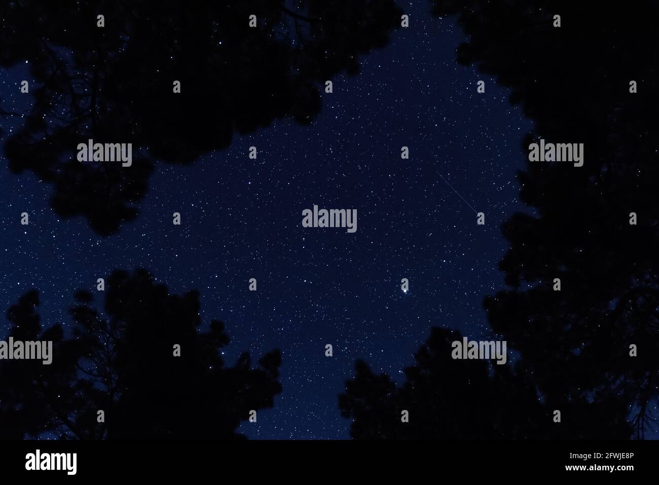 Dark night starry sky and galaxy in outer space universe background ...