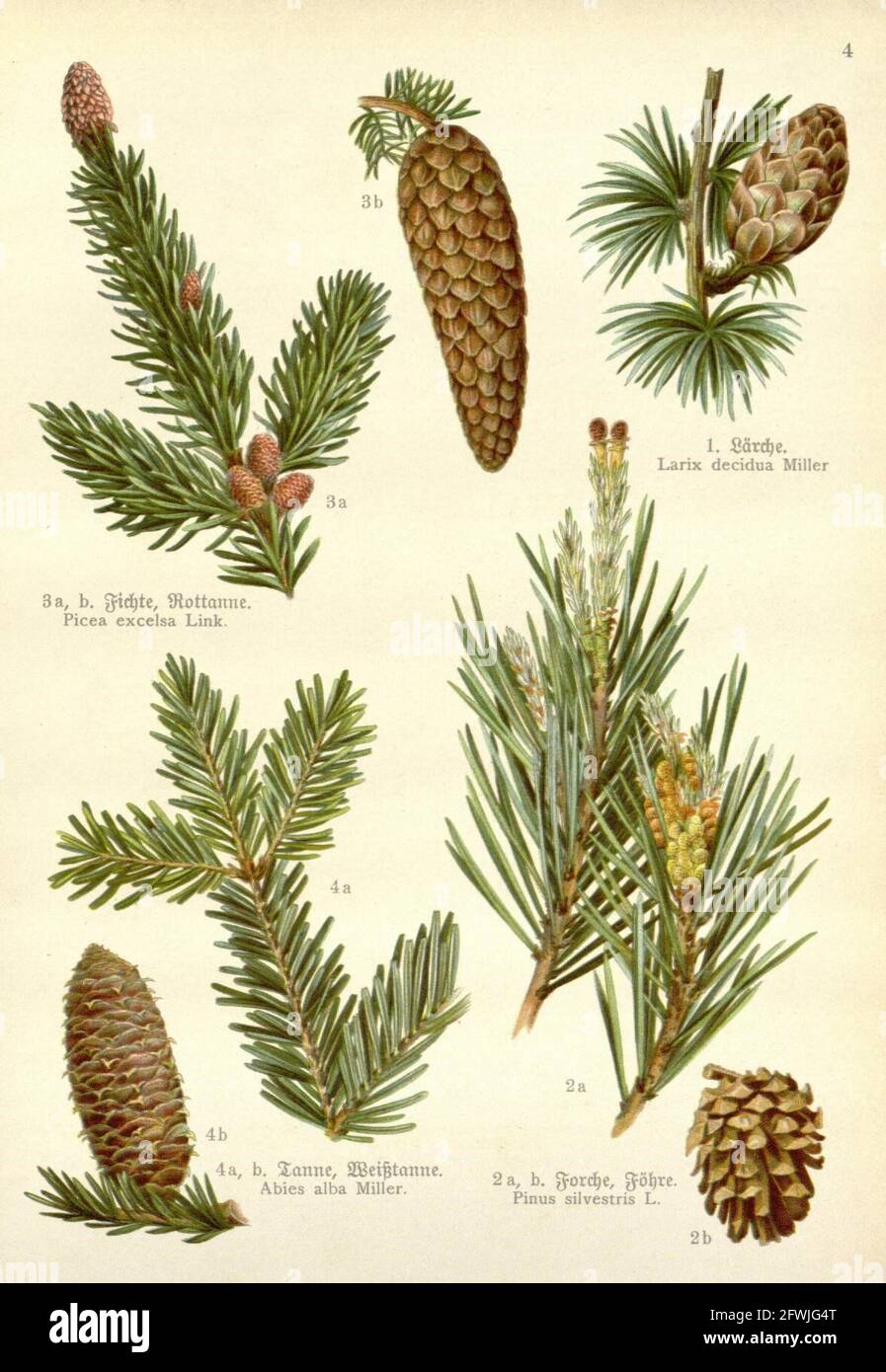 Schreiber color hi-res stock photography and images - Alamy