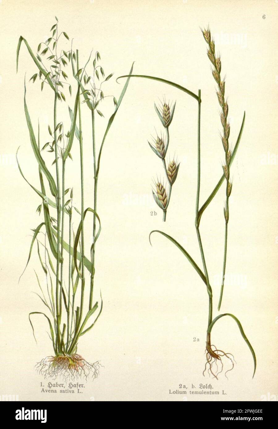 Schreiber color hi-res stock photography and images - Alamy