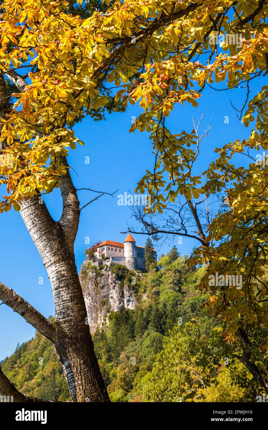 The historic Castle Bled (circa 1004) atop precipice overlooking Lake ...