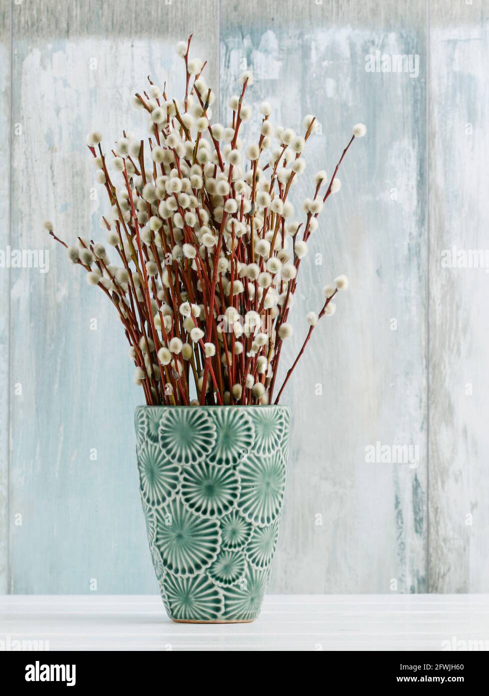 Catkins vase hi-res stock photography and images - Alamy
