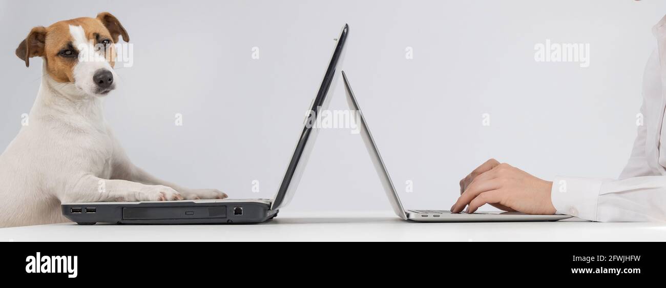 Fast and slow comparison hi-res stock photography and images - Alamy
