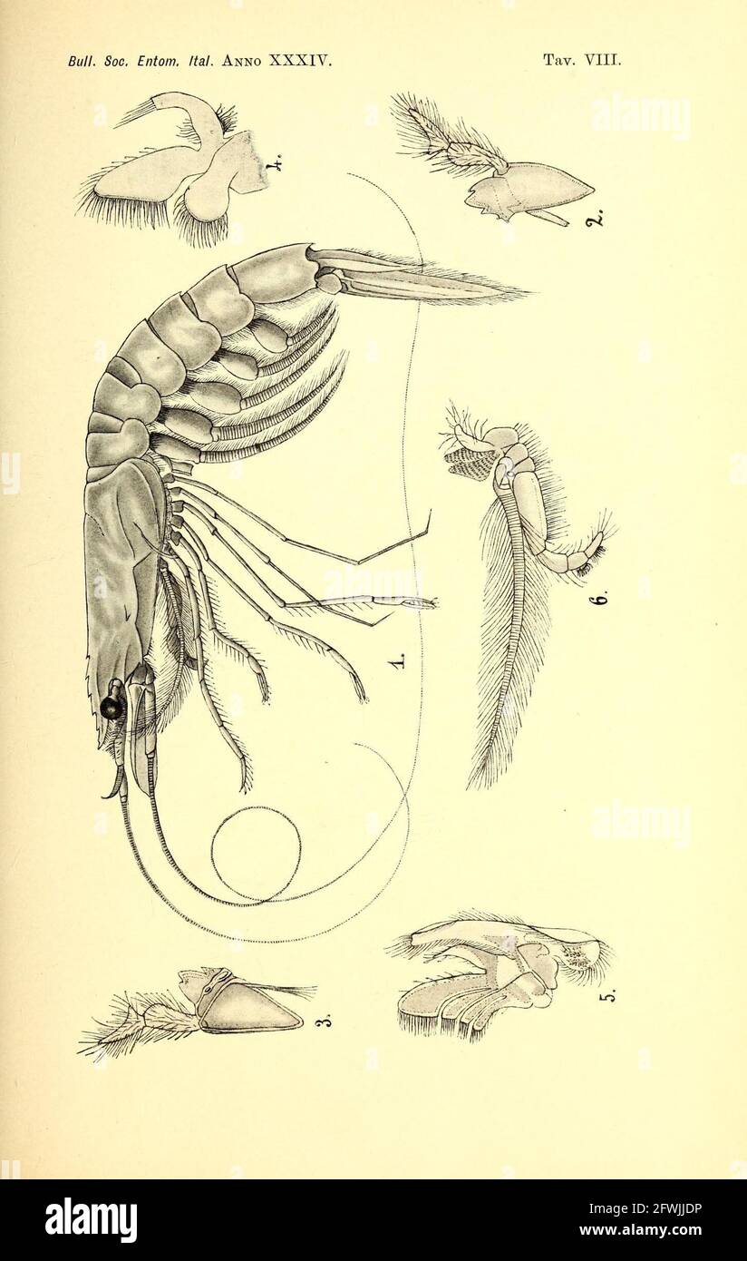 Ricci m hi-res stock photography and images - Alamy