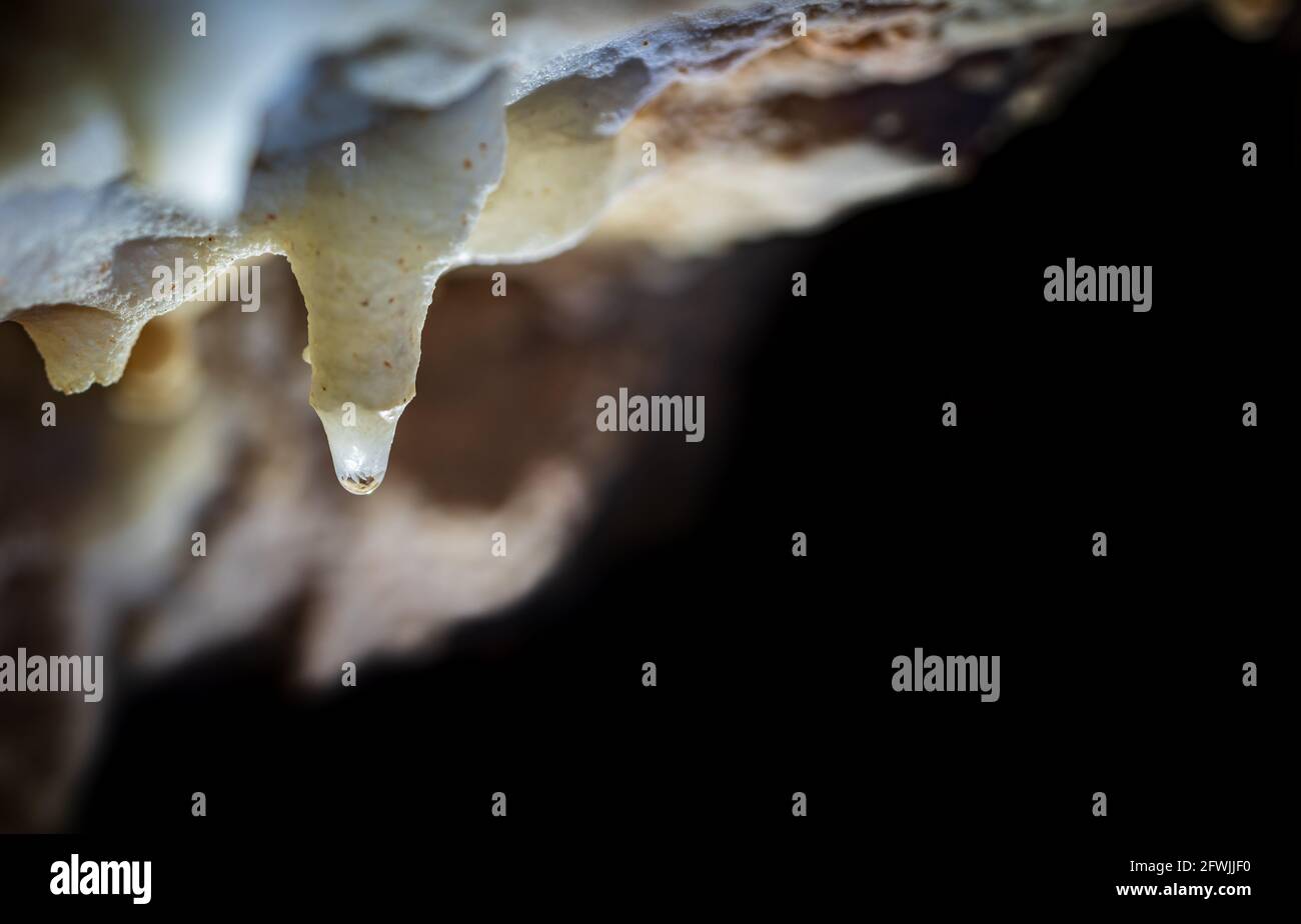 Stalactite formation with water drop in the cave Stock Photo - Alamy