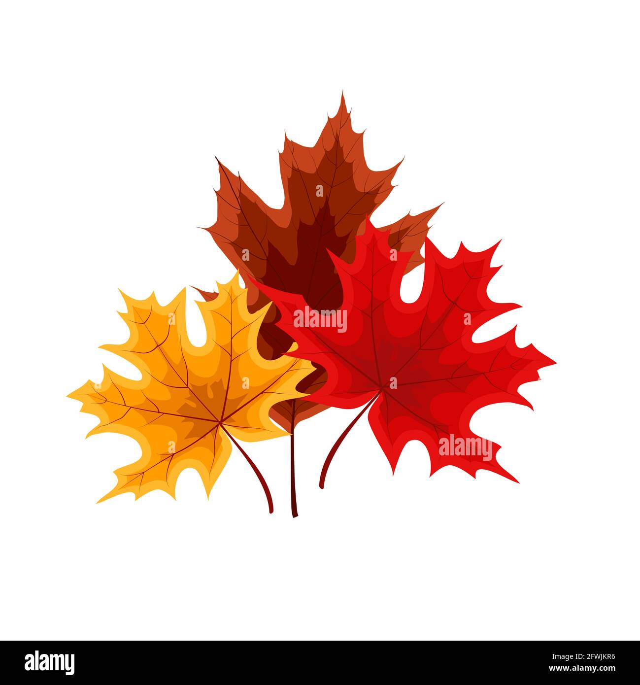 Autumn Falling Leaves Icon Isolated on White Background. Vector ...