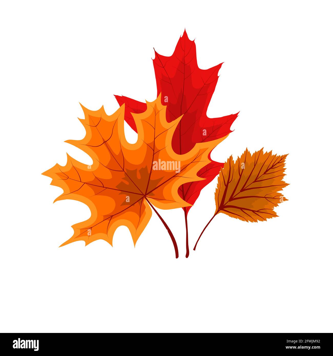 Autumn Falling Leaves Icon Isolated on White Background. Vector ...
