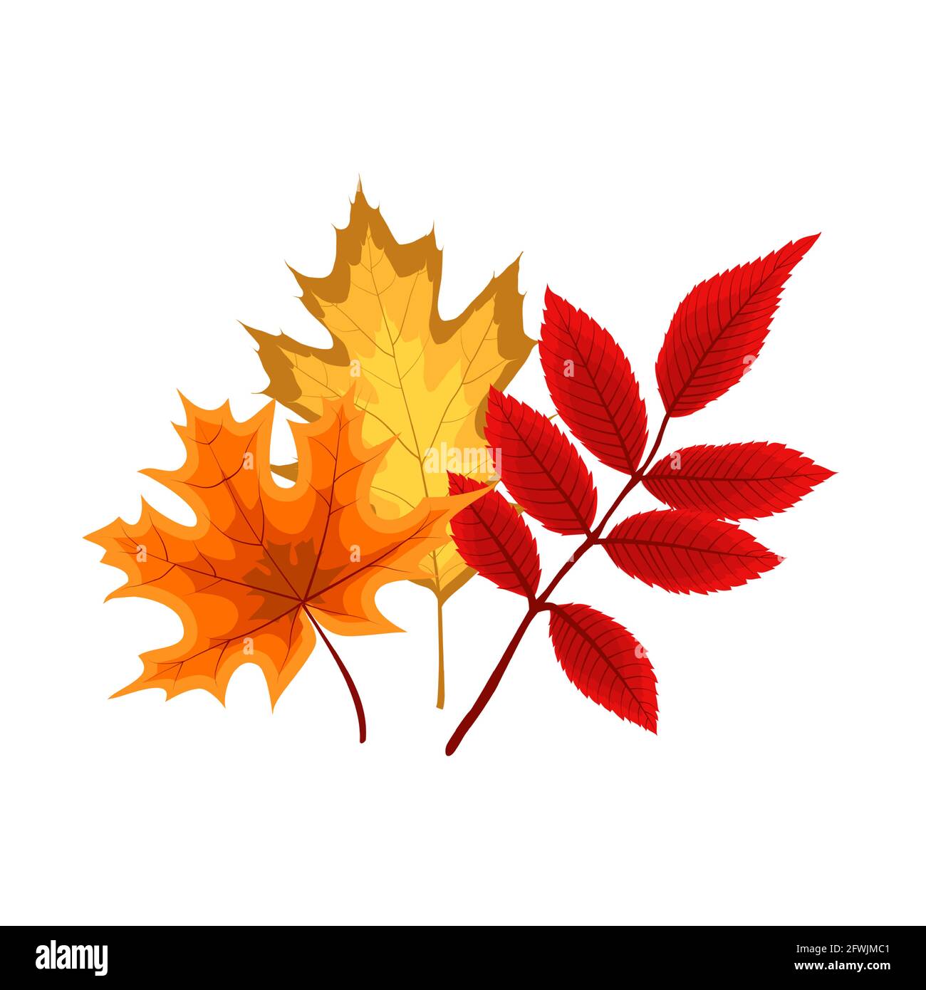 Fall Leaf Icon