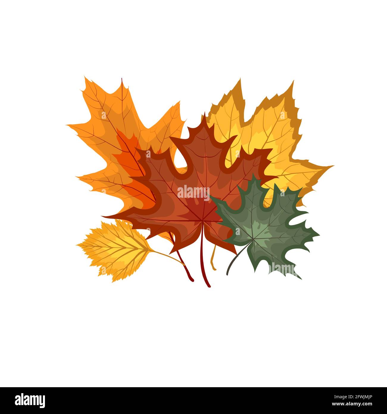 Autumn Falling Leaves Icon Isolated on White Background. Vector ...