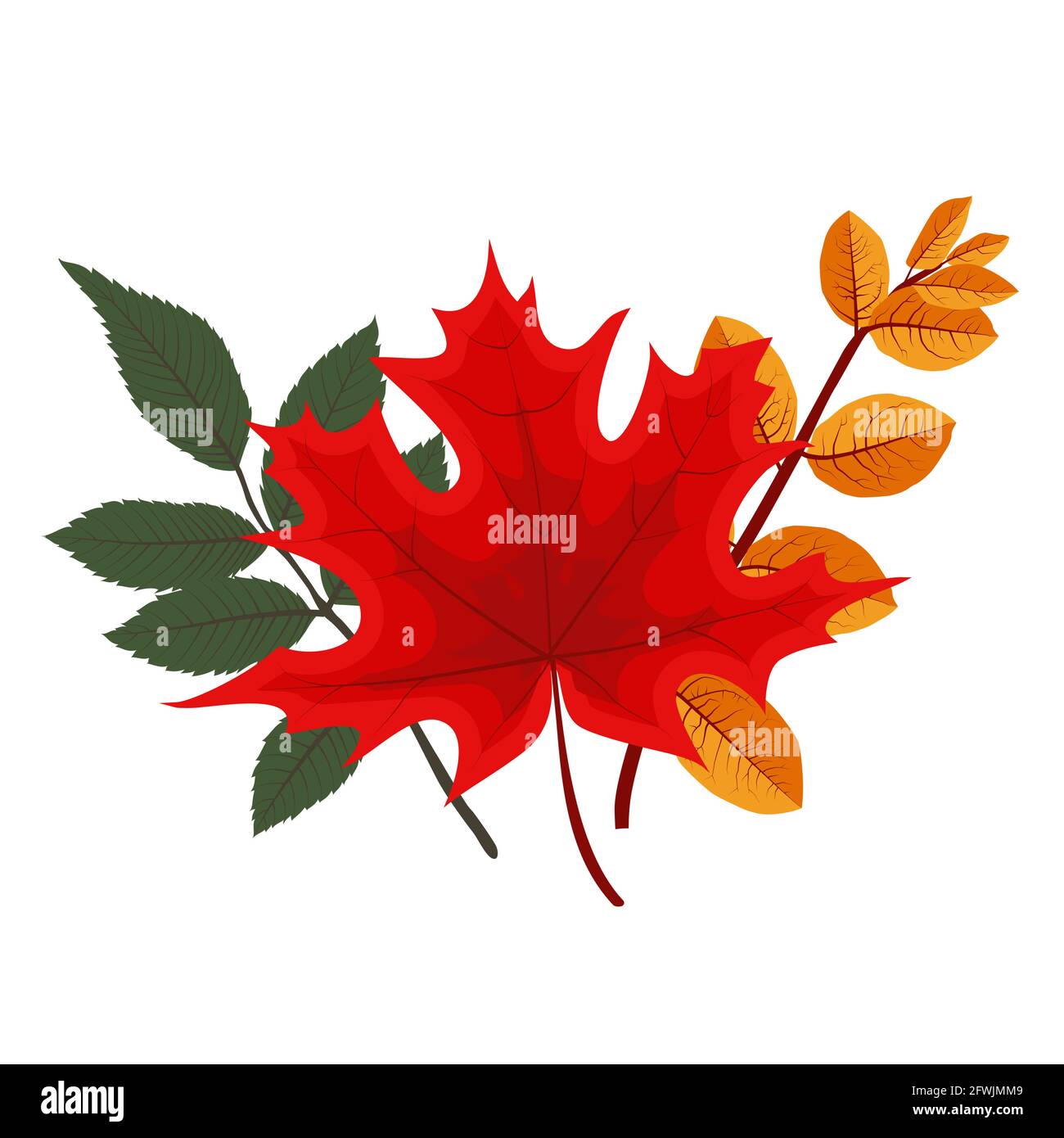 Autumn Falling Leaves Icon Isolated on White Background. Vector ...