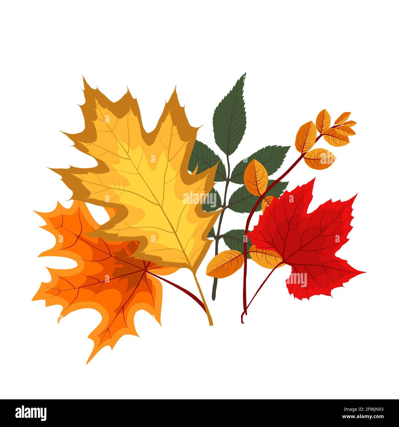 Autumn Falling Leaves Icon Isolated on White Background. Vector ...