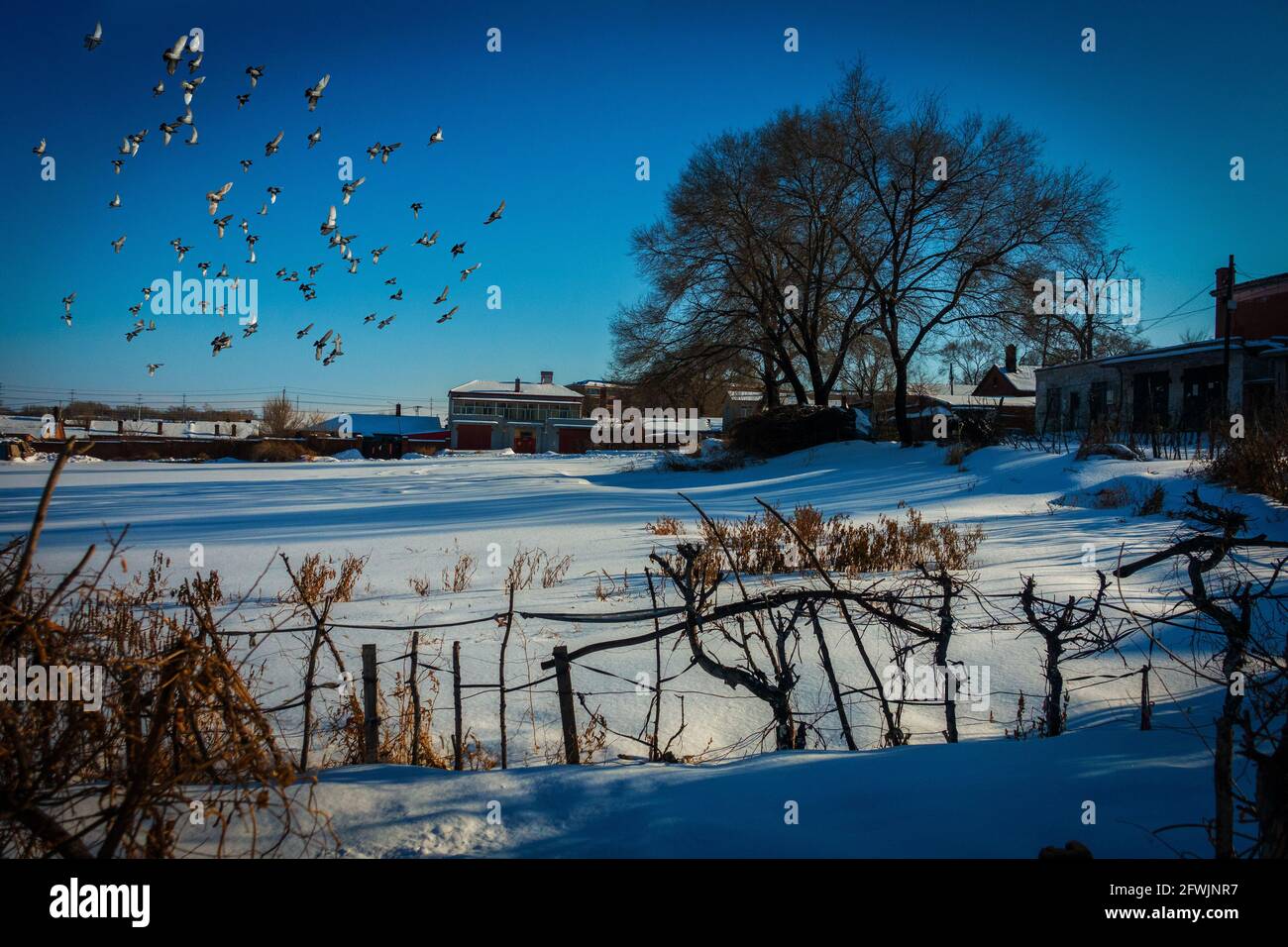 Rural rhythm of snow Stock Photo - Alamy