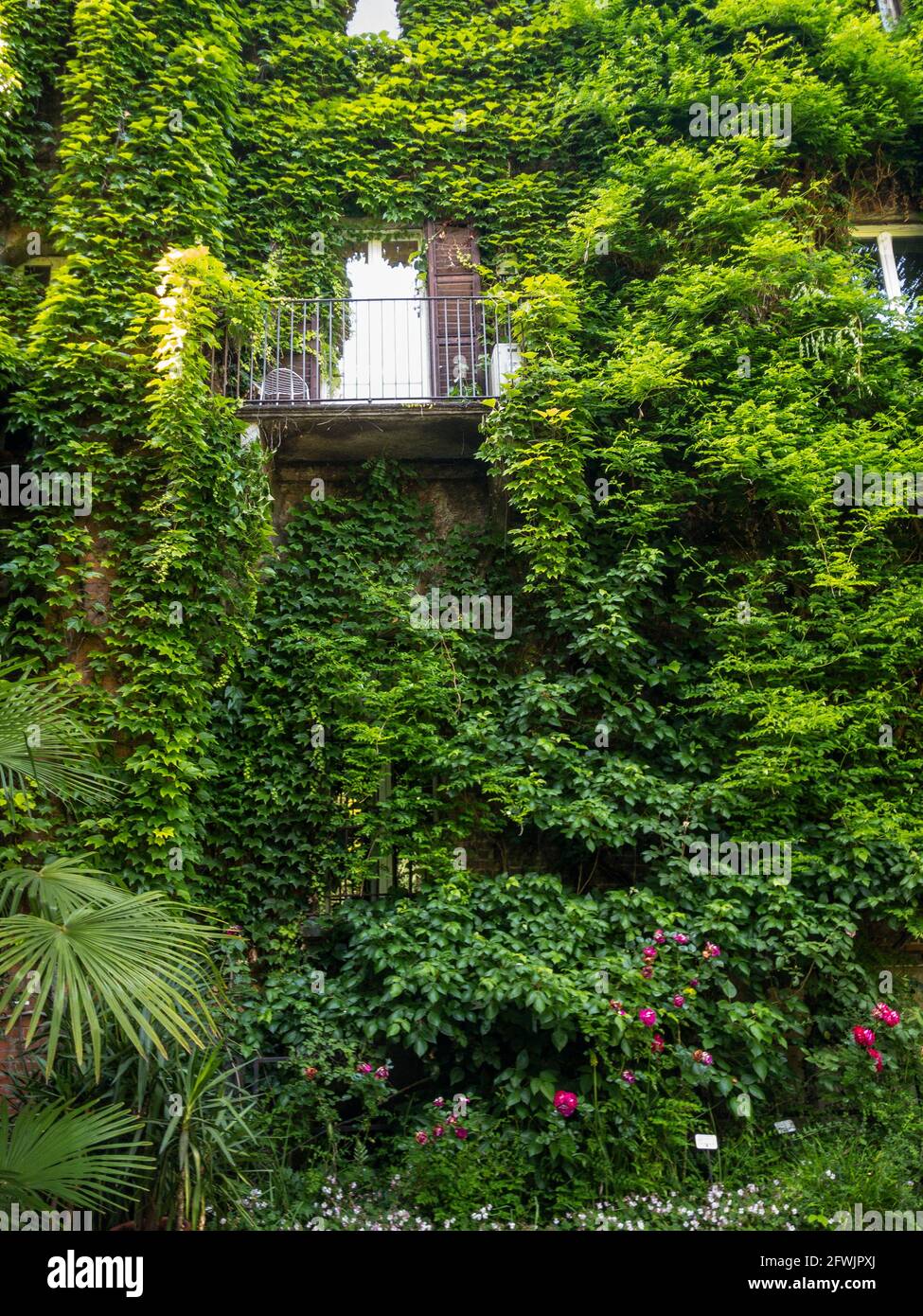 Facade greenery hi-res stock photography and images - Alamy