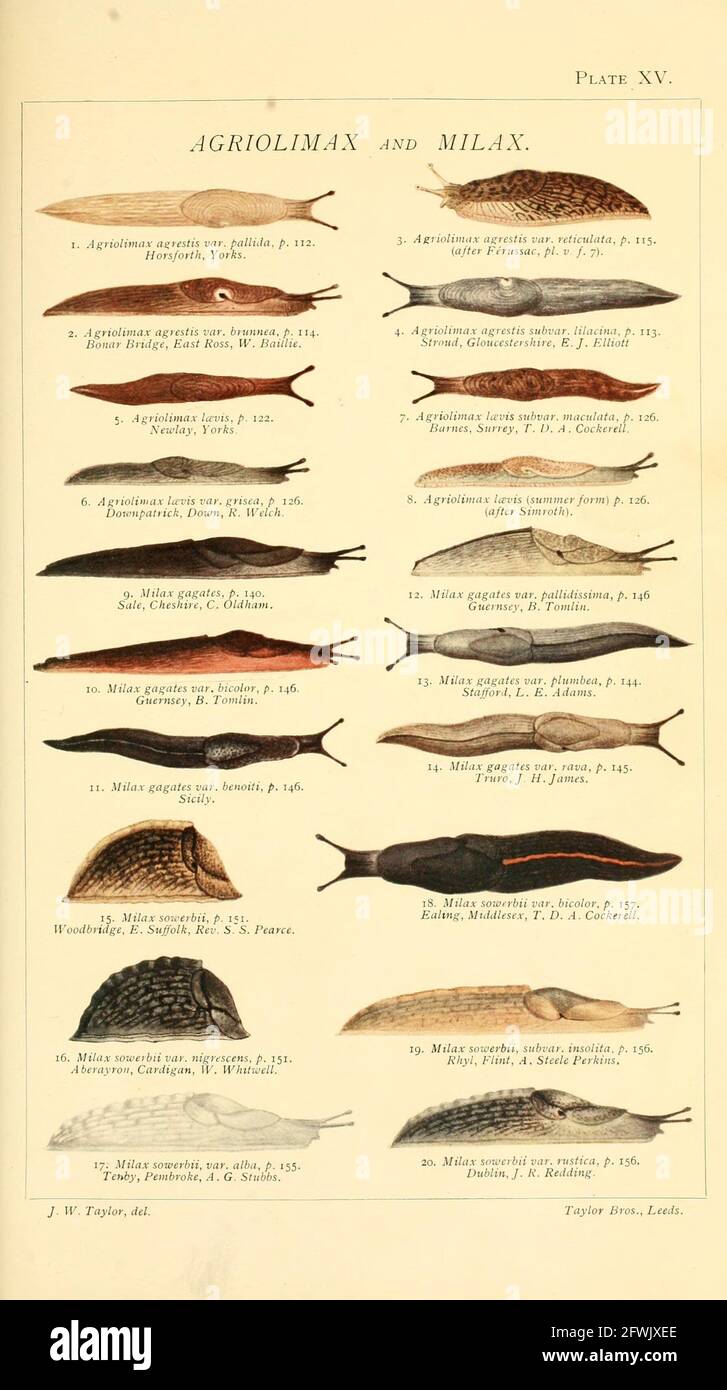 Britian map hi-res stock photography and images - Alamy