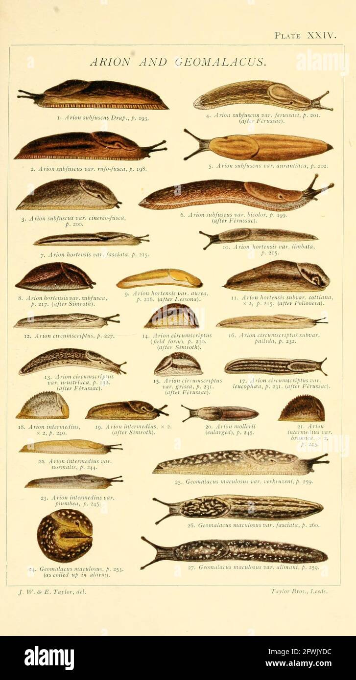 Britian map hi-res stock photography and images - Alamy