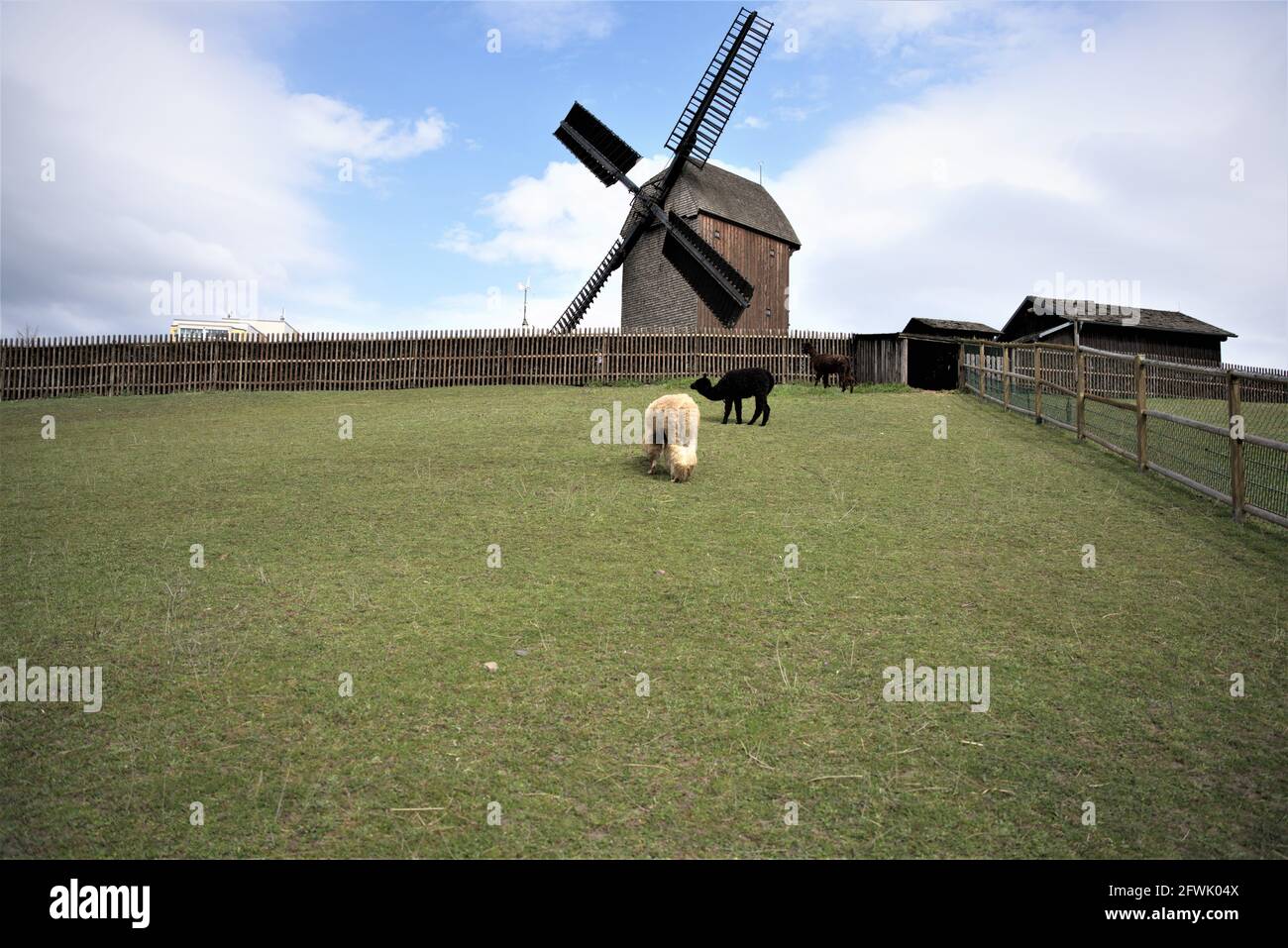 old windmill in farm Stock Photo - Alamy