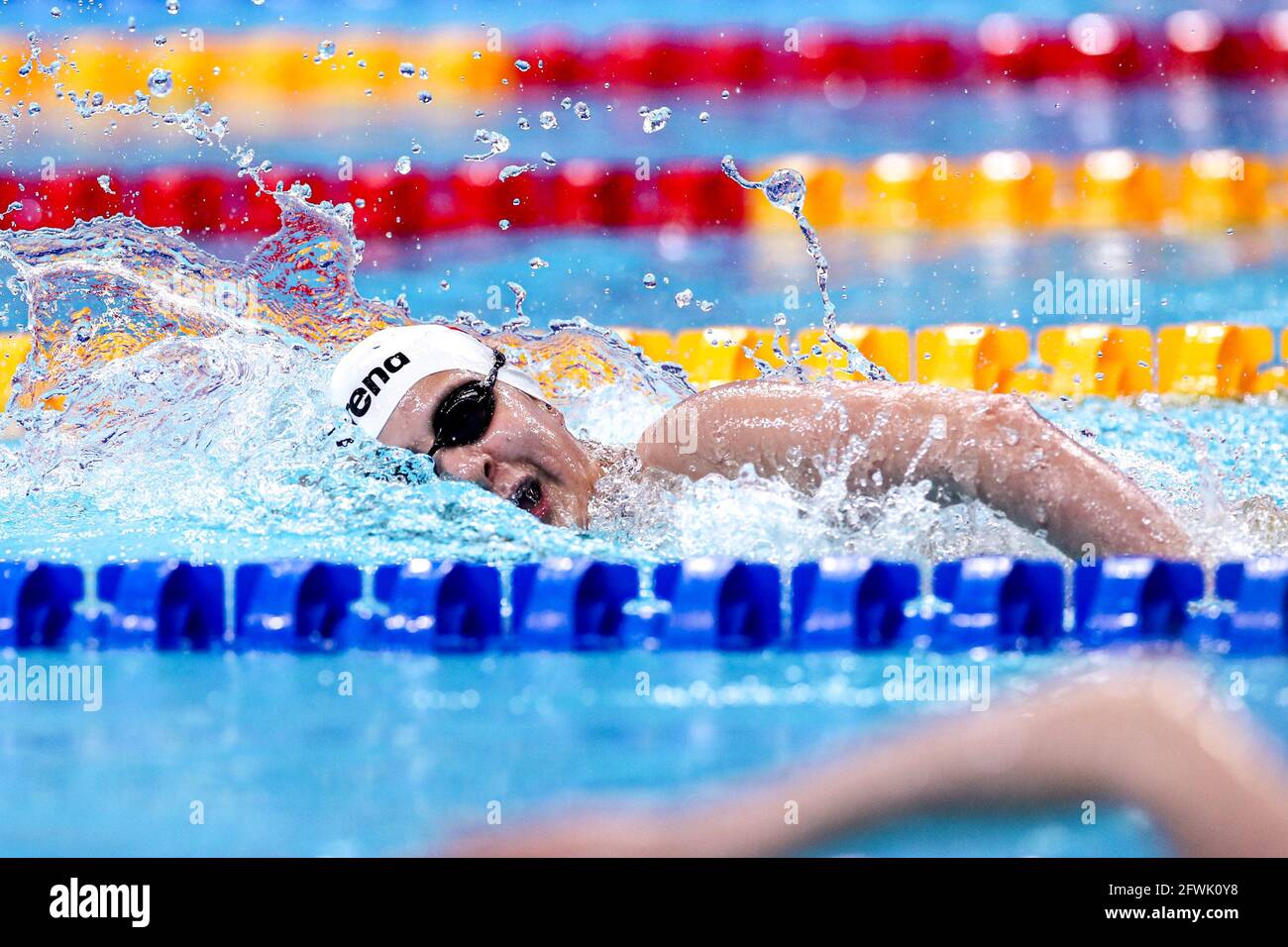 Zwemster hi-res stock photography and images - Alamy