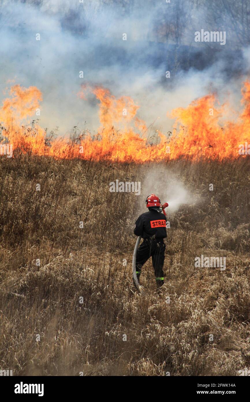 Firefighters fight with fire in the meadow in Krakow, Poland Stock ...