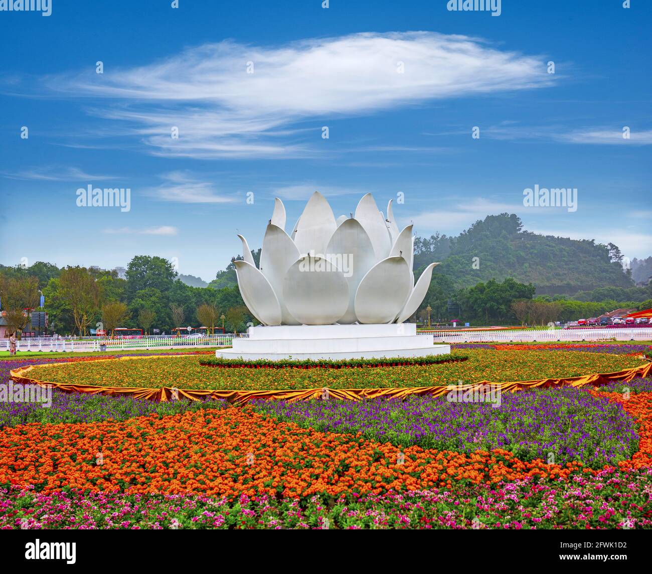 Sichuan leshan giant Buddha scenic spot white lotus Stock Photo - Alamy