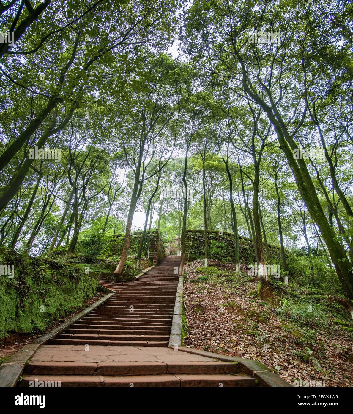 Sichuan leshan giant Buddha scenic area east Buddha garden Stock Photo ...