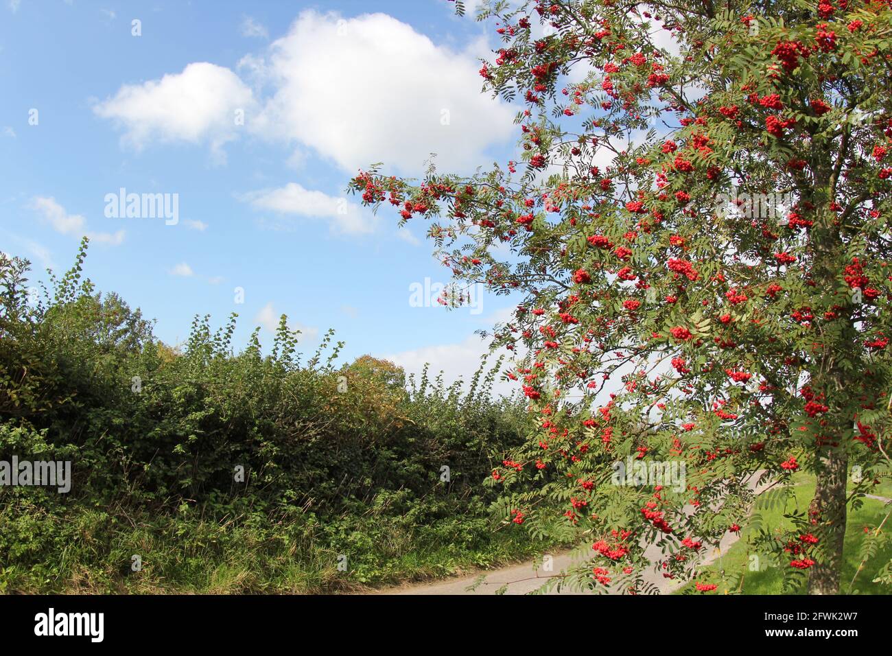 Sunny days in england hi-res stock photography and images - Alamy
