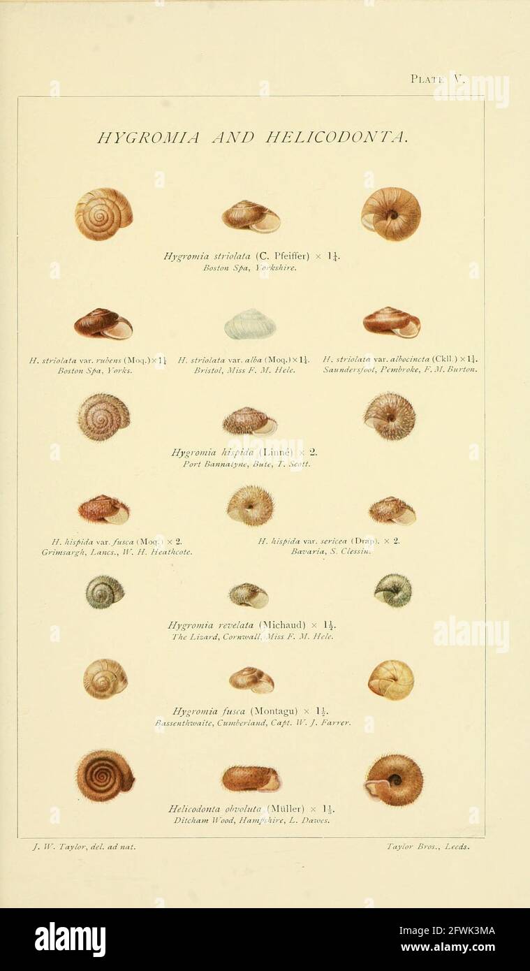 Britian map hi-res stock photography and images - Alamy