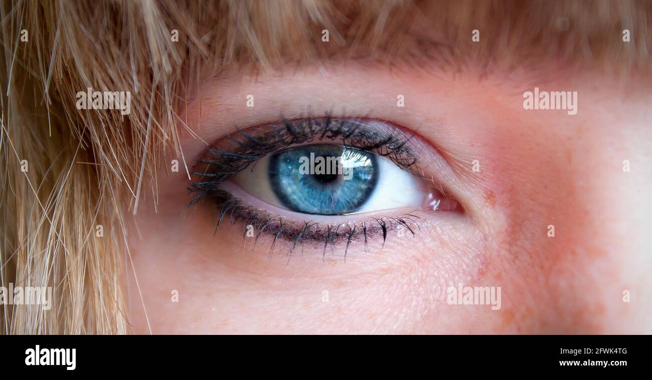 Female blue eye close up Stock Photo - Alamy