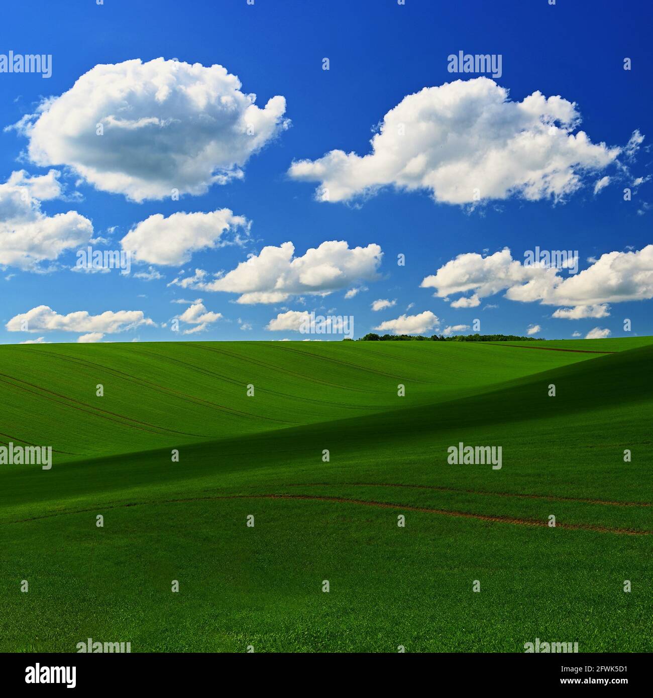 Beautiful spring landscape with blue sky, sun and clouds. Green field ...