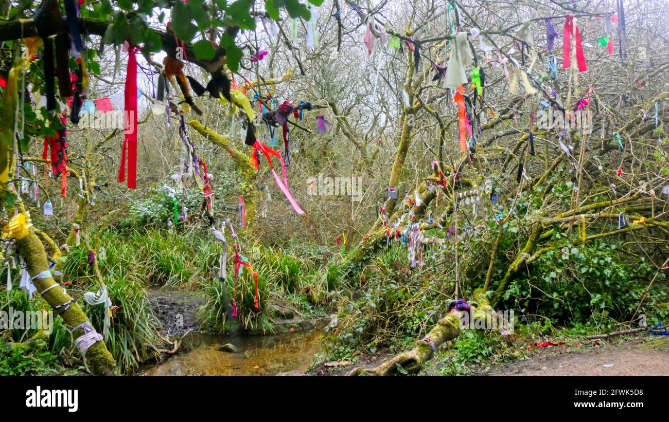 Small pieces of rag or ribbons, called 'clouties' are tied to trees for ...