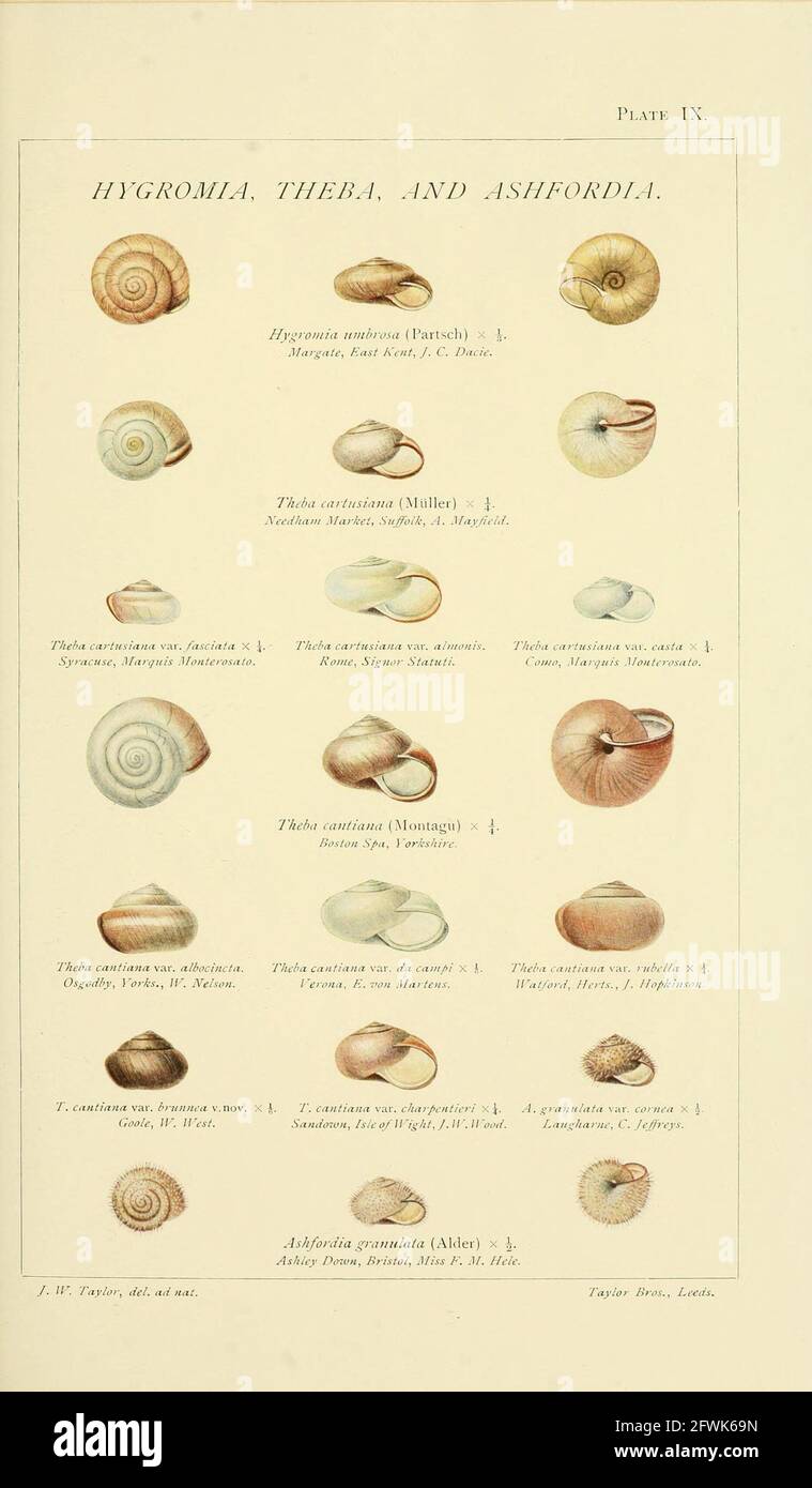 Britian map hi-res stock photography and images - Alamy