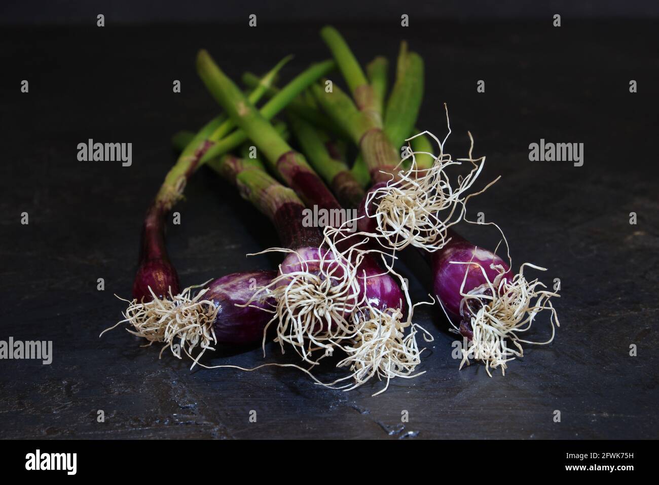 purple spring onions on dark table background Stock Photo - Alamy