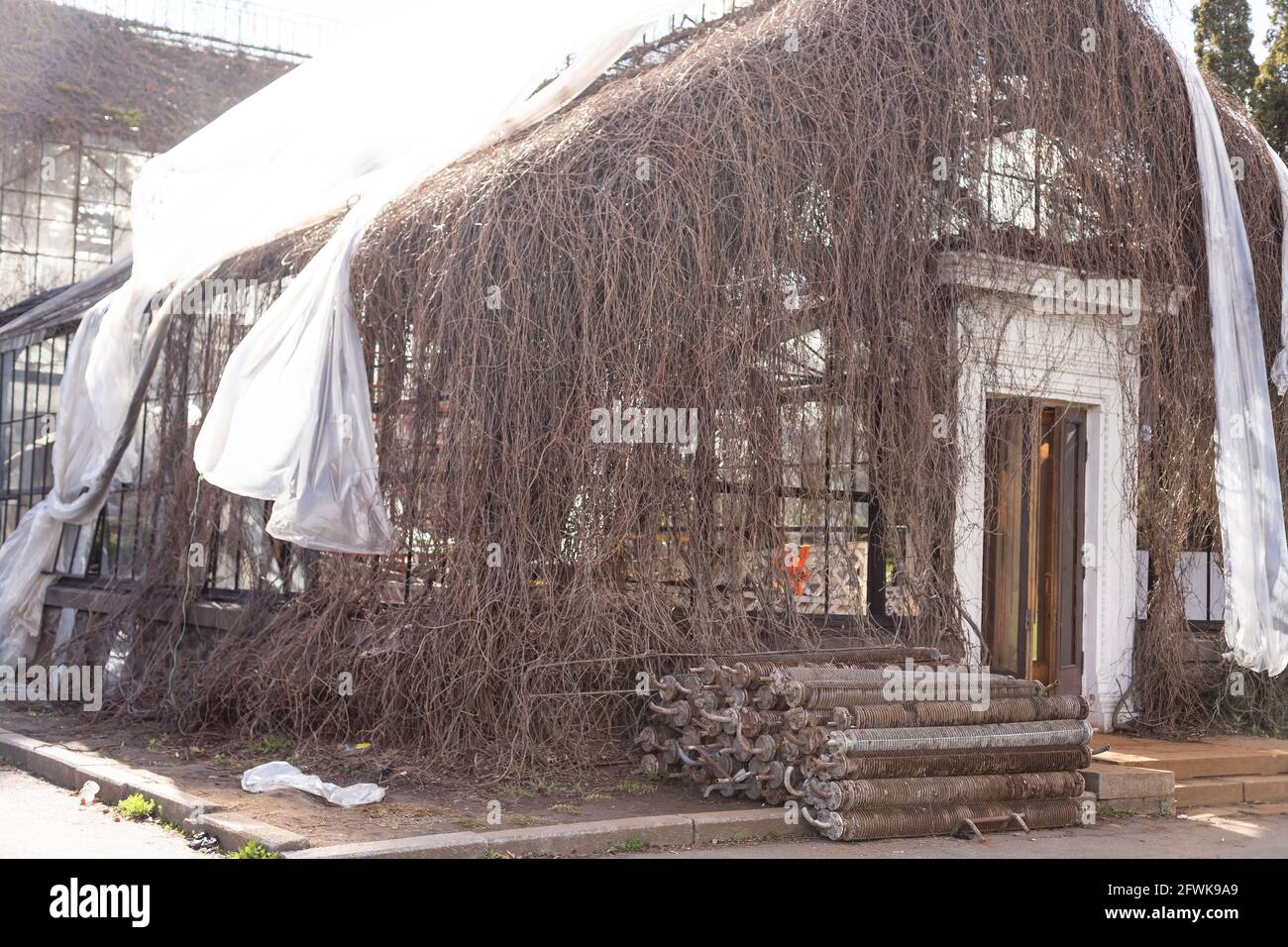 big windows in the workshop hall factory Stock Photo - Alamy