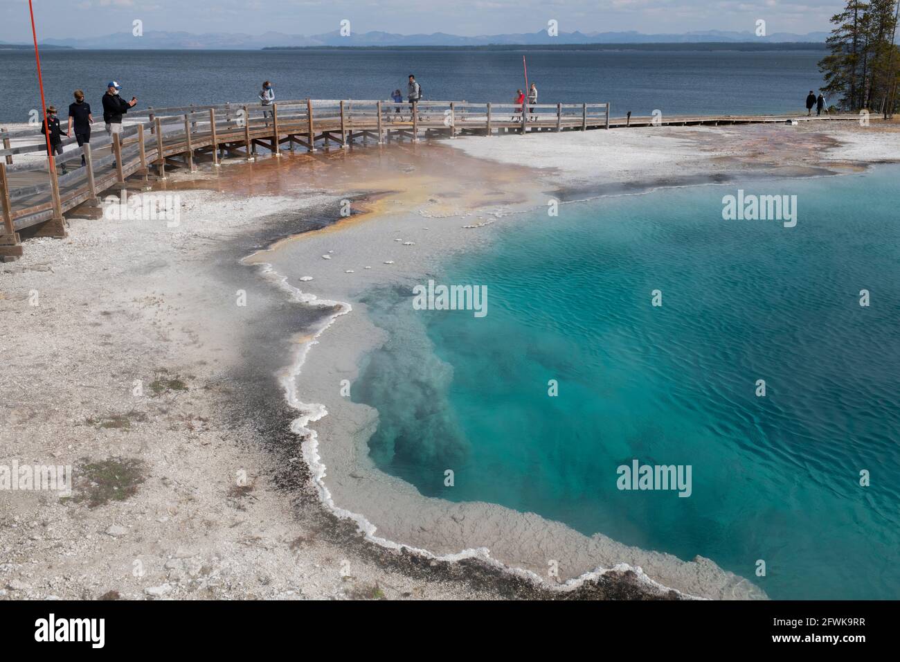 North America, Wyoming, Yellowstone National Park, West Thumb Geyser ...