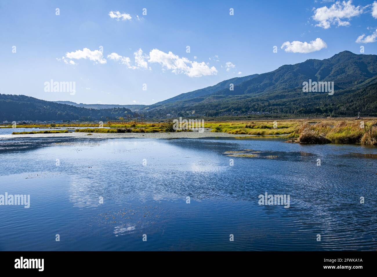 Tengchong in yunnan province in the north sea wetlands Stock Photo - Alamy
