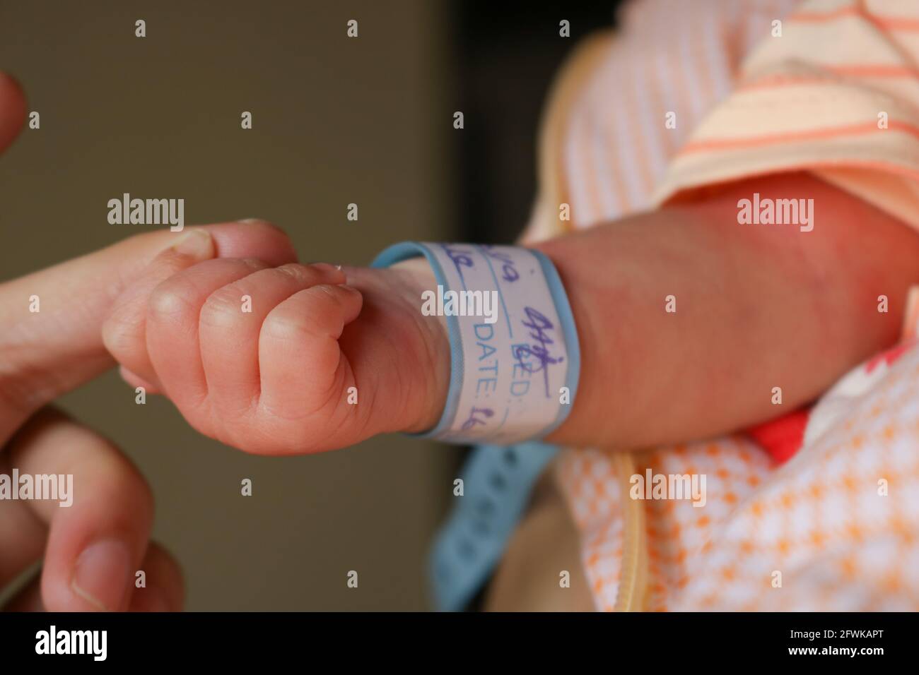 Newborn Baby hand with mother hand, Mother children bonding Stock Photo ...