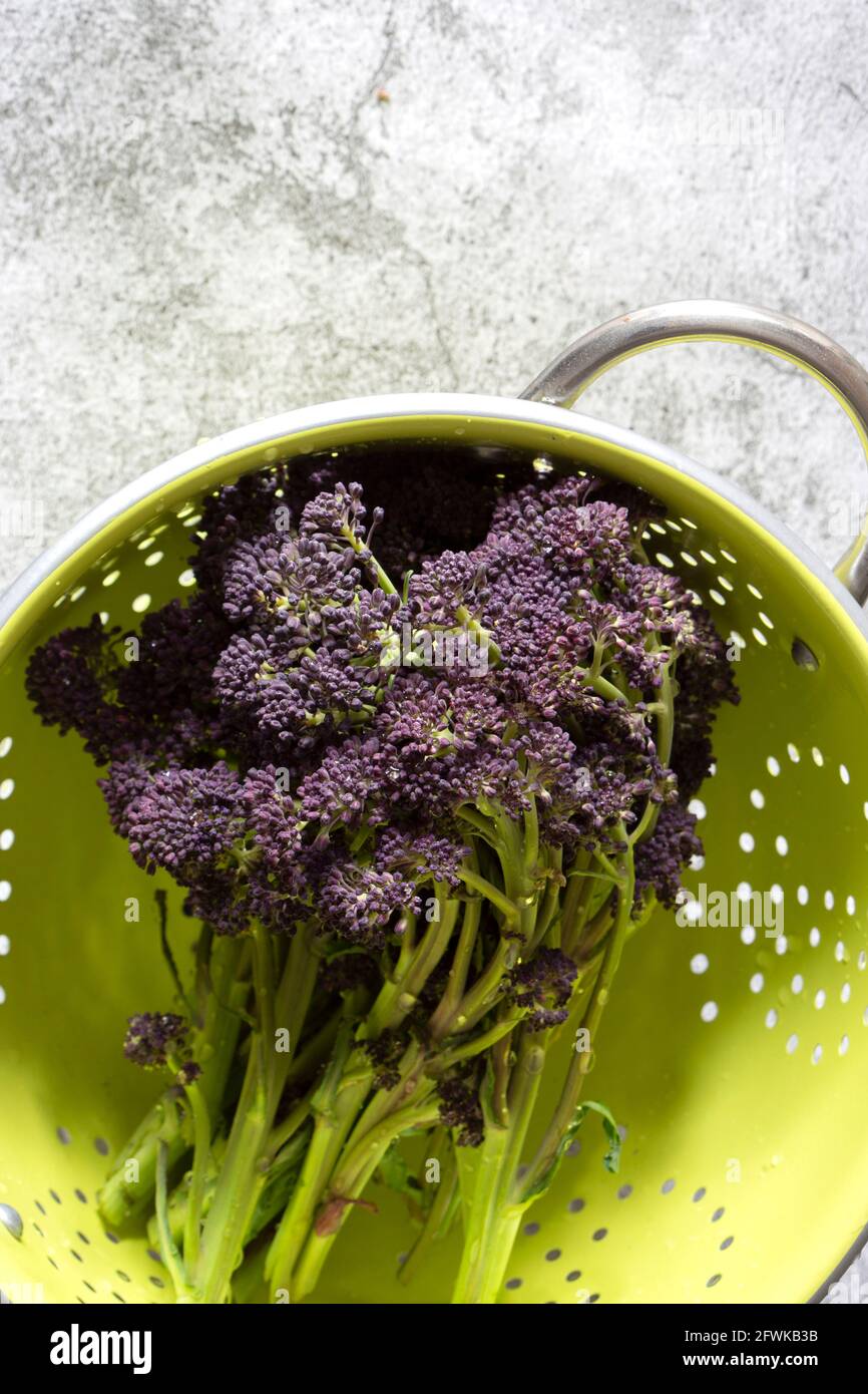 Purple sprouting broccoli washed in a green colander. On a concrete ...