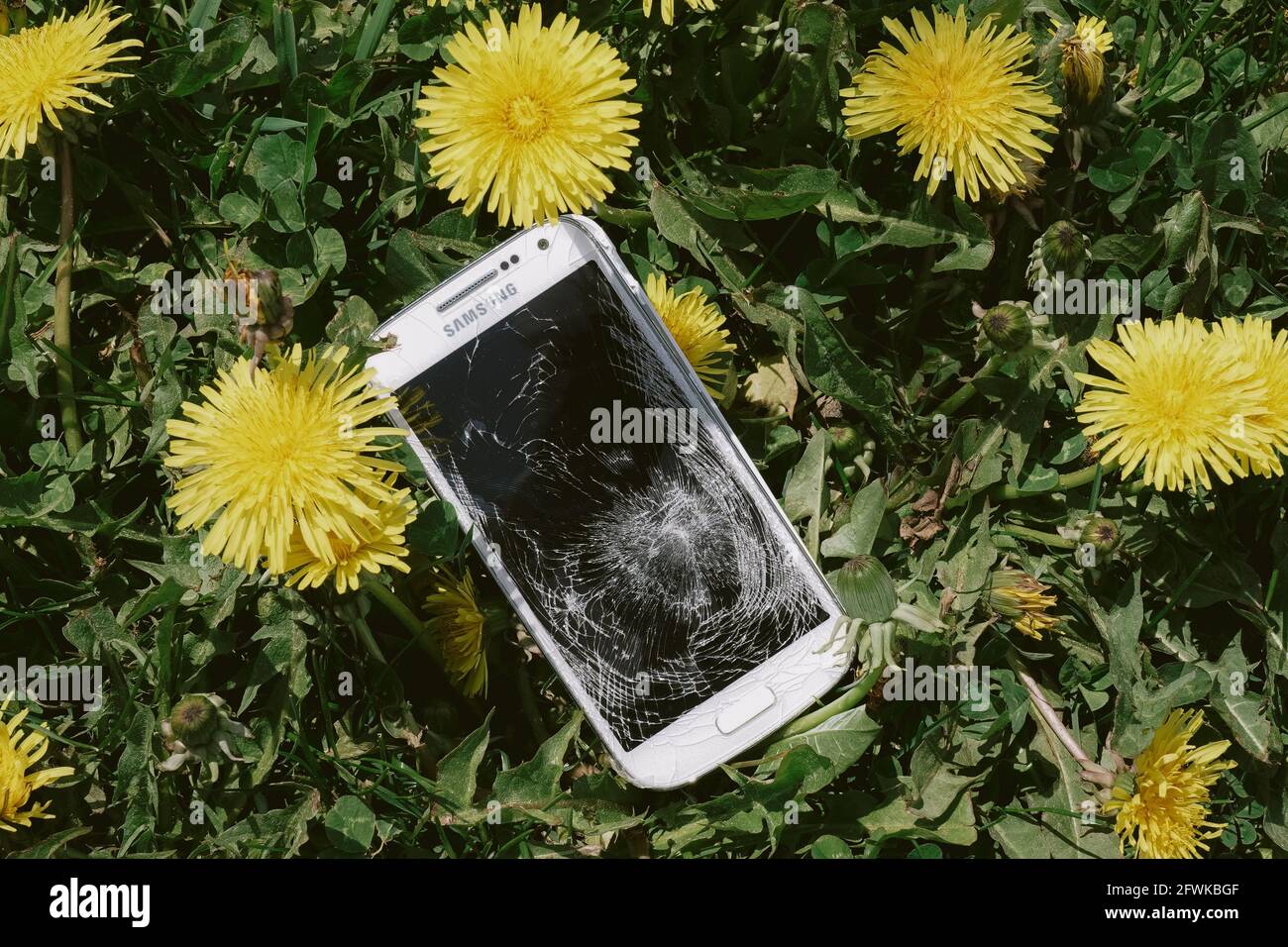 Smashed grass hi-res stock photography and images - Alamy