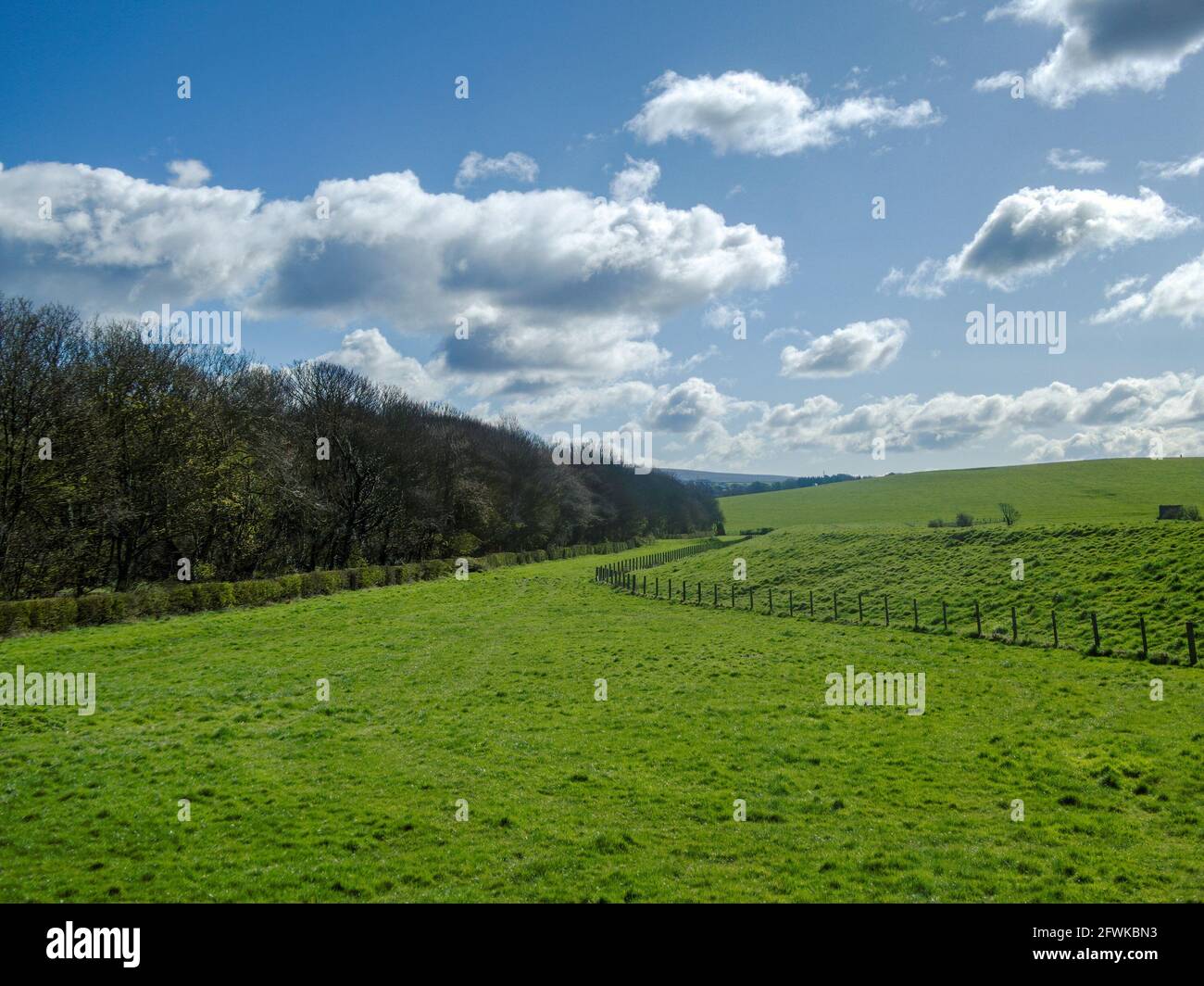 A typical rural English scene in Spring Stock Photo - Alamy